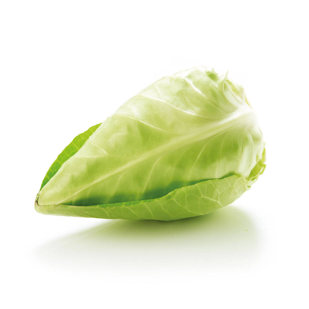 Spring Cabbage | ALDI IE
